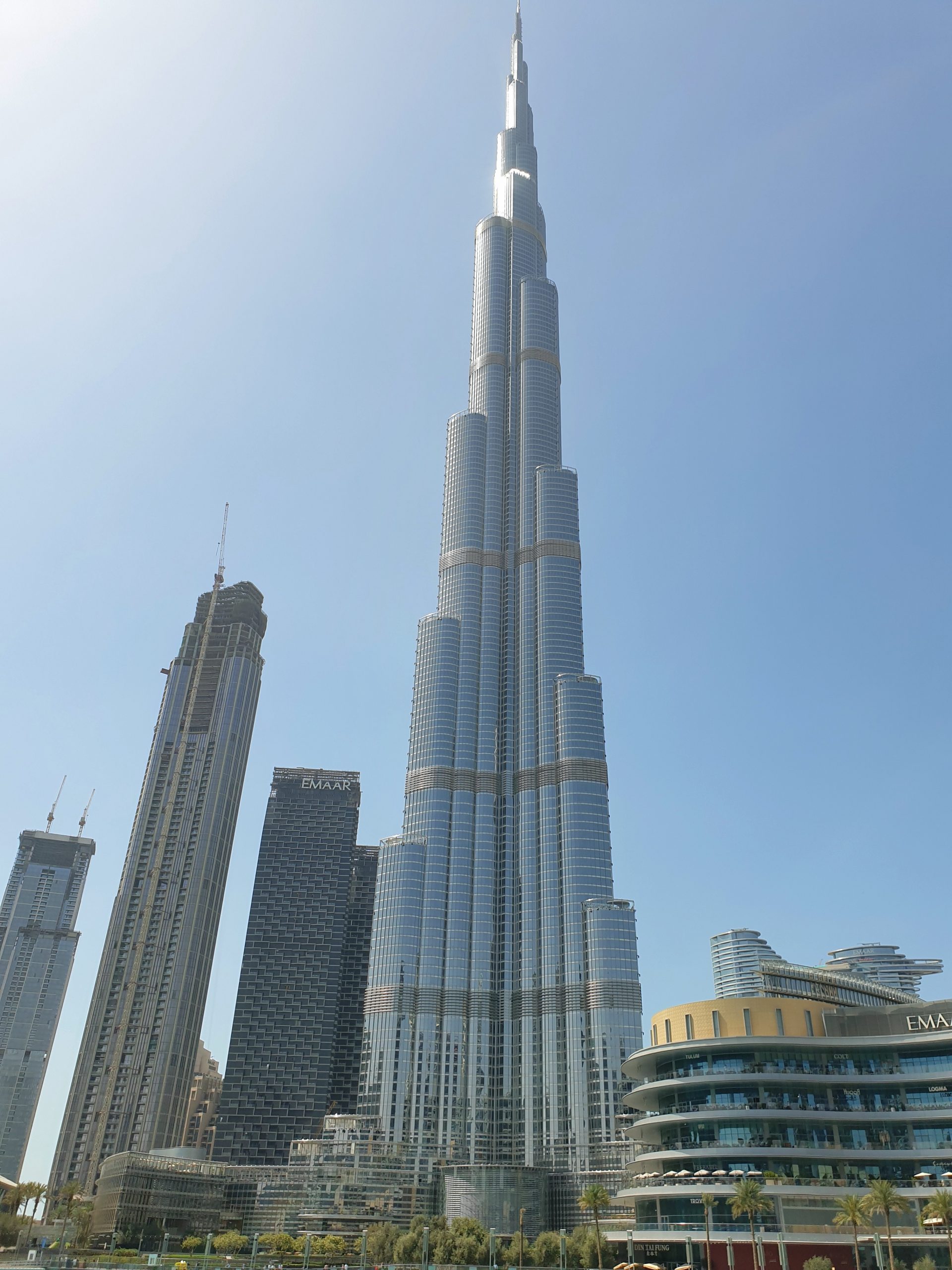 From desert sands to sparkling skylines – Award-winning author and ...